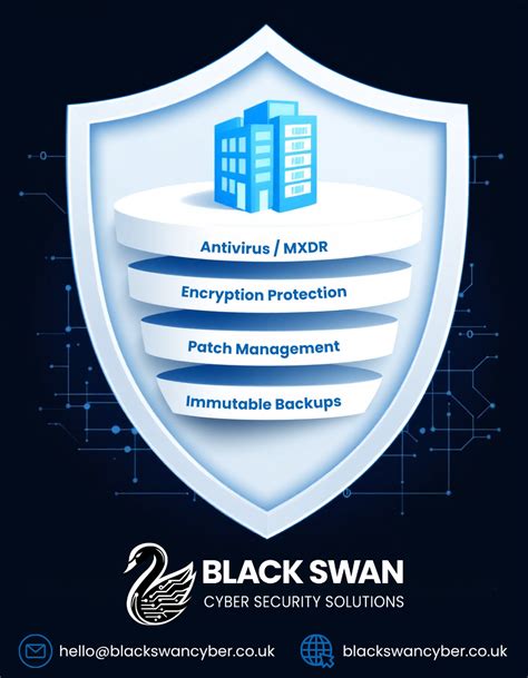 Understanding Modern Ransomware A Comprehensive Guide To Protection And Recovery Black Swan