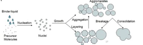 Pharmaceutics I W6 Dosage Forms Flashcards Quizlet
