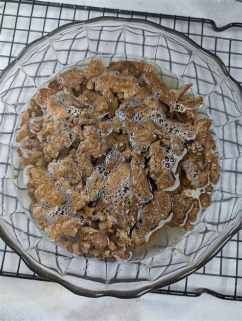 Sossi Soya Explained Toasterding