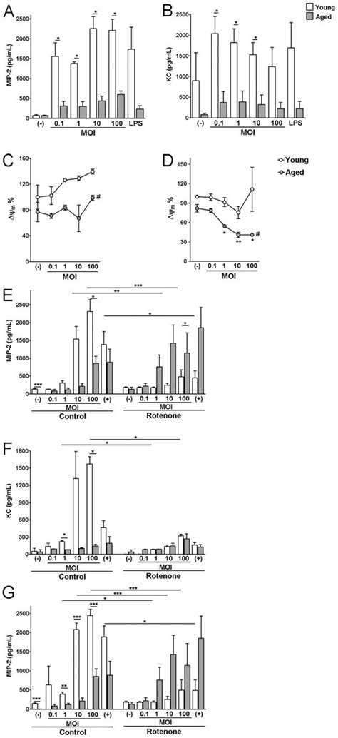 A PMN KC At 18 H Post Infection B PMN MIP 2 At 18 H Download Scientific Diagram