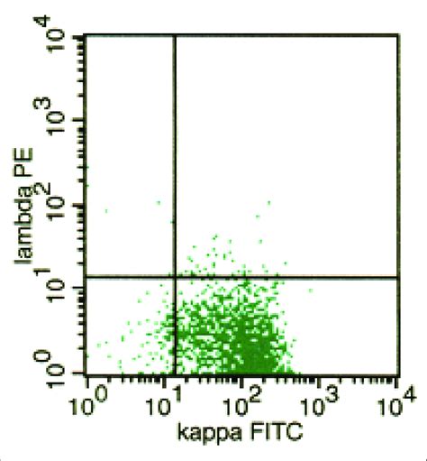 Flow Cytometry Assessment Of Light Chain Of The Case Reported In Fig