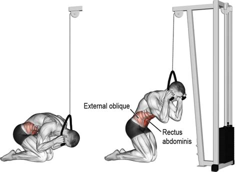 How To Do Cable Crunches The Right Way Fitness Volt