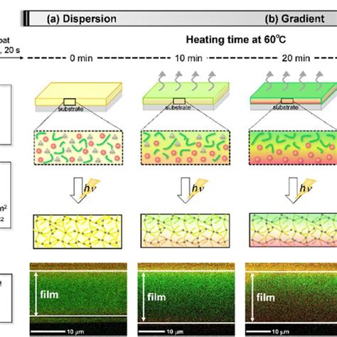 Fabrication Of Organic−inorganic Hybrid Films Having Gradient Structure Download Scientific