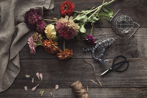 Nadeen Flynn Photography Landscapes Nature