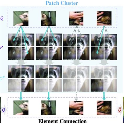 Patch Cluster And Element Connection Download Scientific Diagram