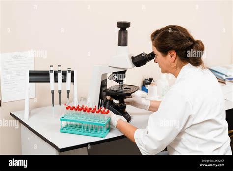 Laboratory Assistant Looks Into Microscope And Makes Blood Test In The