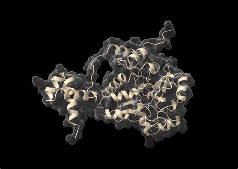 Protein Structure Model Scu China Igem 2022