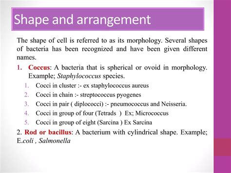 Lecture 2 Bacterial Morphology Bacterial Cell Structure Pptx