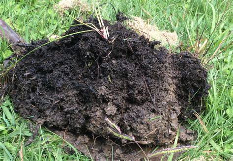 Soil Biodiversity NSW Soil Knowledge Network