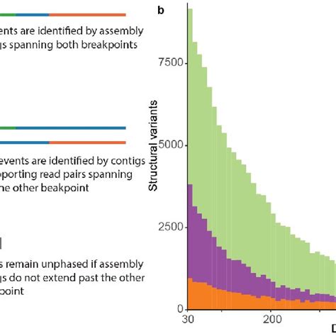 Structural Variant Phasing A Phasing Of Structural Variants Can Be