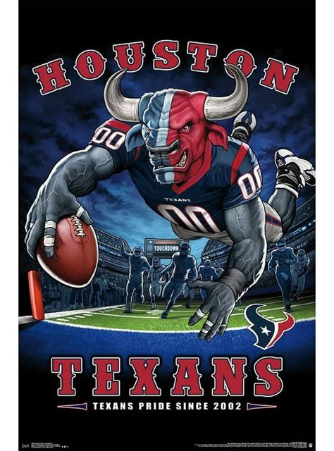 Houston Texans Team Shop