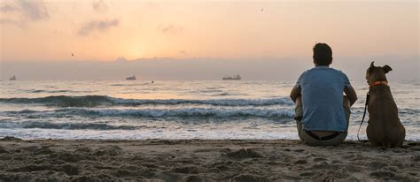 Living With Bowel Problems Wellspect