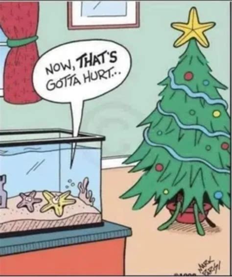 Курсы английского языка в Твери ВКонтакте