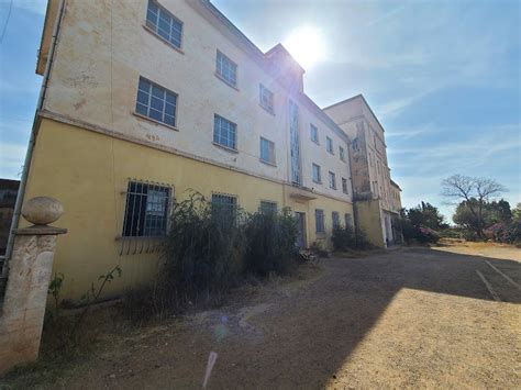 The Top 15 Famous People From Eritrea You Never Knew