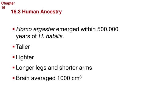Ppt Primate Evolution Powerpoint Presentation Free Download Id2909937