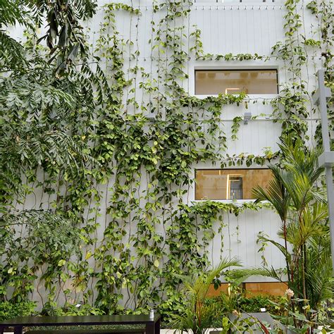 Baader Bank Zentrale Greencable