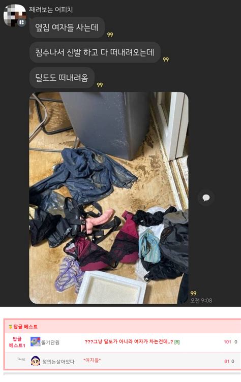 이번 수해로 뜻하지 않게 사생활이 노출된 옆집 여자들 유머 움짤 이슈 에펨코리아