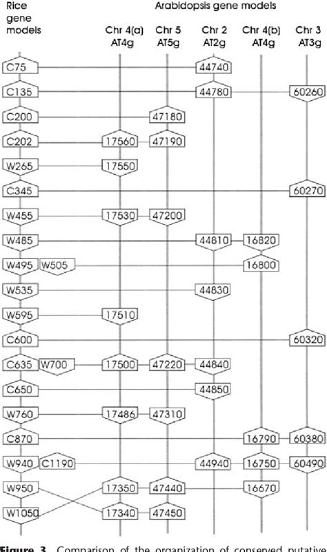 Figure 1 From Conservation Of Microstructure Between A Sequenced Region