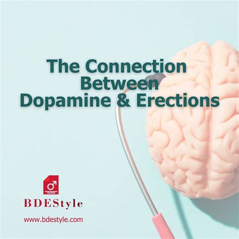 The Connection Between Dopamine And Erections