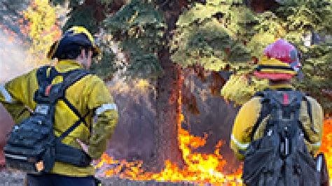 Video Added ‘uc Davis Live On Fighting California Wildfires Uc Davis
