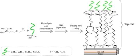 Sol Gel Synthesis Steps For Hydrophobic Coating Preparation Download Scientific Diagram