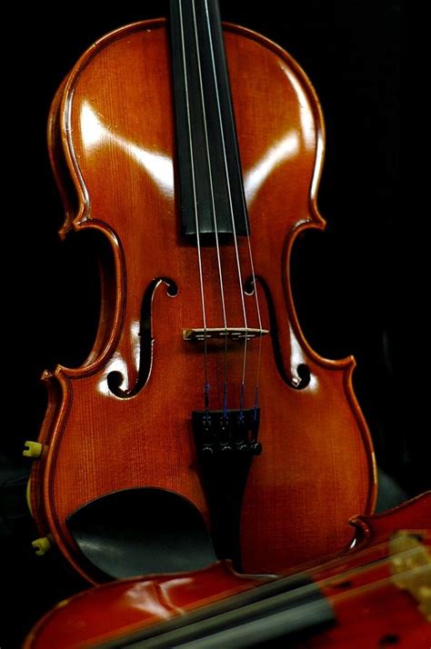 What Instruments Are In A String Quartet