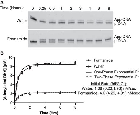 Formamide Significantly Enhances The Efficiency Of Chemical Adenylation Of Rna Sequencing