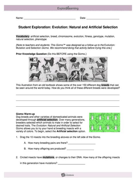 Natural Selection Gizmo Answer Key Fill Out And Sign Online Dochub