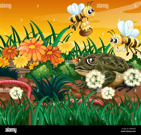 Background Scene With Bee And Frog Illustration Stock Vector Image