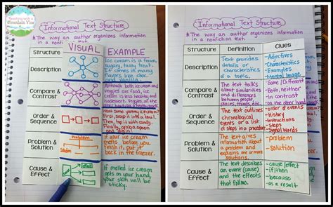 Text Structure 6th Grade