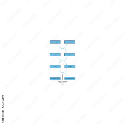 Diagram Showing The Role Of G6pd Enzyme In Nadph Production Physiological Biochemical Process