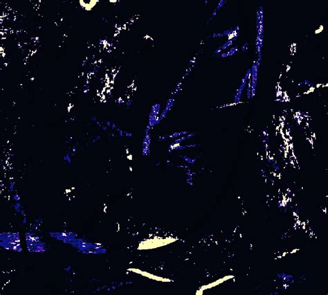 Two Dream Poems Catherine Graham Vispo Robert Frede Kenter