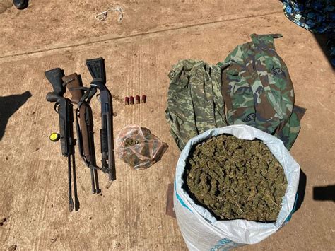 Marihuana armas y vehículos fueron decomisados a seis personas en Tuxpan Michoacán Infobae