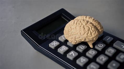 Brain On Calculator Representing Intelligence Analytical Thinking And Mental Calculation Stock