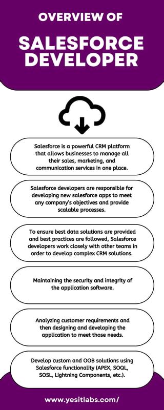 Overview Of Salesforce Developer Pdf Computer Software And Applications Computing