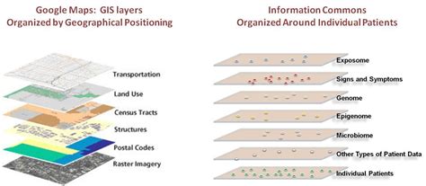 bis bioinformatic system and gis telemedicina