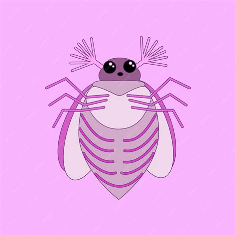 Premium Vector Pink May Bug Chafer Pink Beetle Vector Illustration