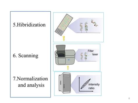 Dna Microarray Final Ppt Pptx