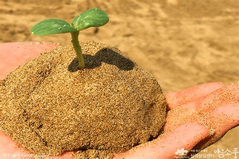 성인을 위한 놀이치료 모래놀이치료