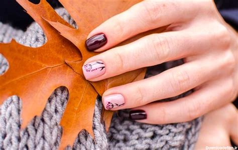 عکس های شیک ناخن