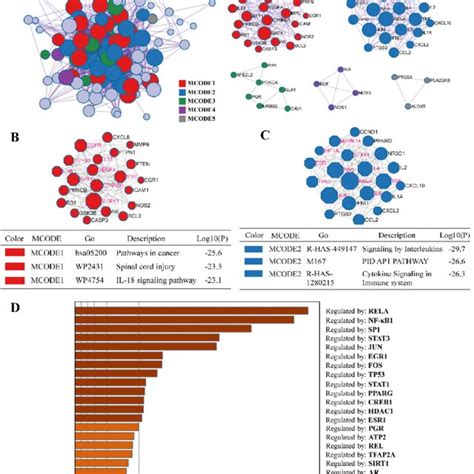 Mcode Cluster Analysis And Protein Function Module A Mcode Cluster