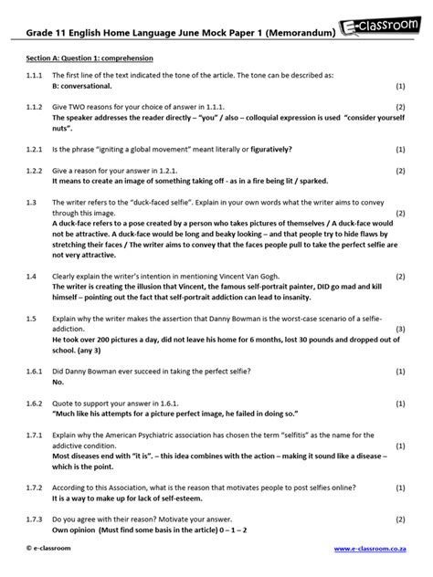Gr11 Ehl June Mock Paper 1 Language Memo Addicted To Selfies Pdf Selfie Advertising