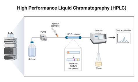 Dna Methylation Aat Bioquest