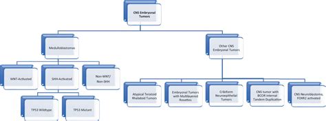 Current Classification System For Cns Embryonal Tumors As Defined By