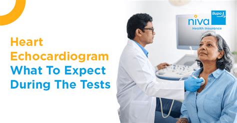Heart Echocardiogram What To Expect During The Test