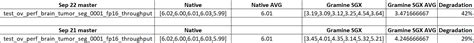 perf degradation seen for openvino brain tumor seg 0001 fp16 with