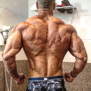 World Bodybuilders Pictures Egyptian Ftiness Model And Bodybuilder Amr