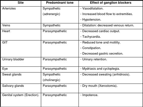 Parasympathetic Ganglion