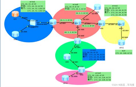 ospf综合实验 csdn博客