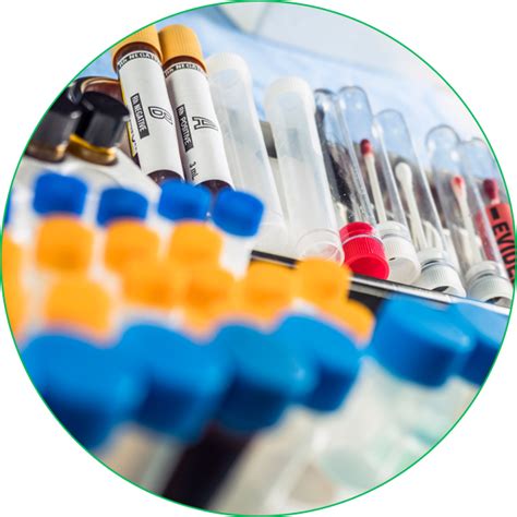 Integrative Biological Dentistry 🌱 Holistic Approach 🌱 Integrative Dental Care